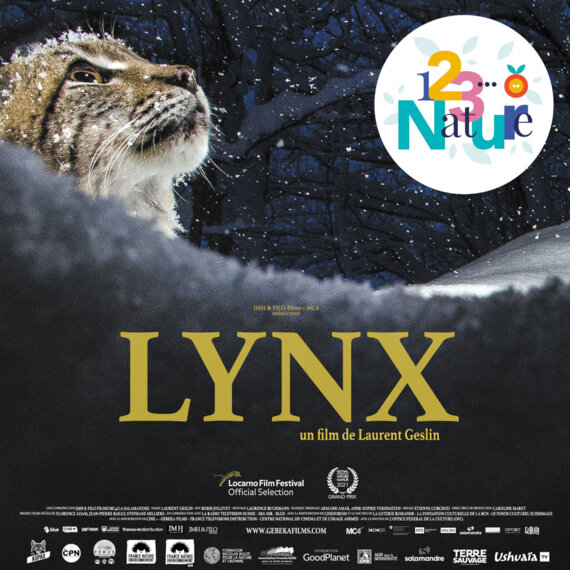 Projection du film "Lynx"